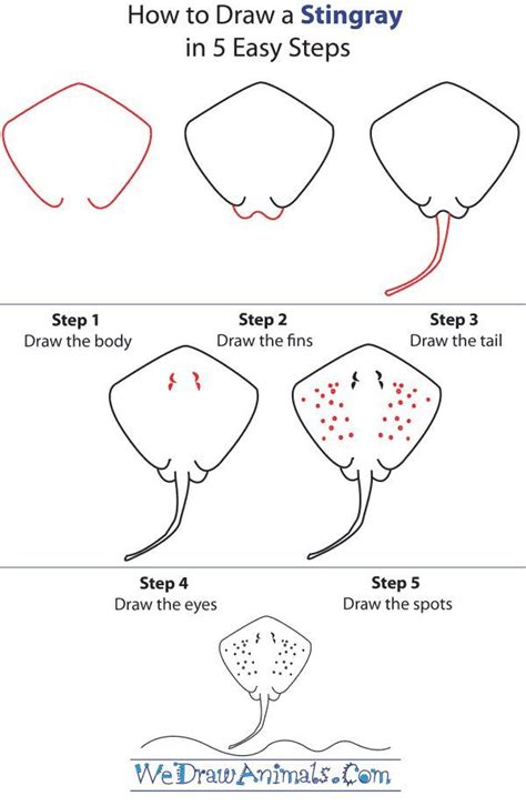 How To Draw A Stingray Artofit