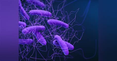Inflammation Caused By C Diff Fuels Pathogens Growth Medical Laboratory Observer