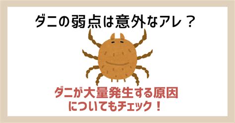 ダニの弱点は意外なアレ？ダニが大量発生する原因についてもチェック！ ラポナモード