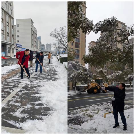 以雪为令 破冰护行区教育系统各党支部开展清雪志愿服务活动 六安市金安区人民政府