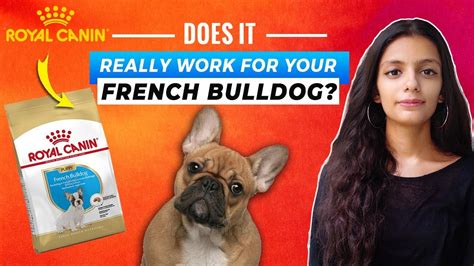 Royal Canin For French Dog Review #royalcanin #frenchdog - YouTube
