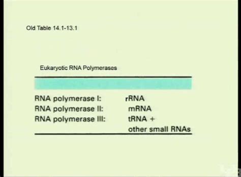 Lecture 10 Trna Rrna And Translation Flashcards Quizlet