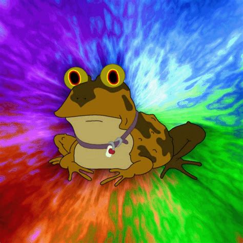 Ignore Christmas Selfies All Glory To The Hypnotoad Album On Imgur