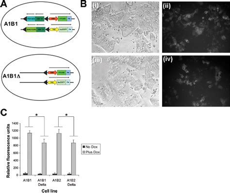 Cell Biology Plos One