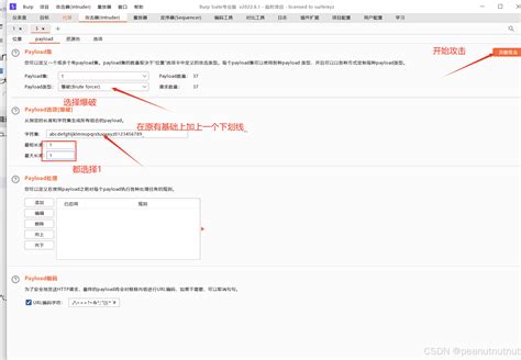 pikachu盲注（布尔） csdn博客