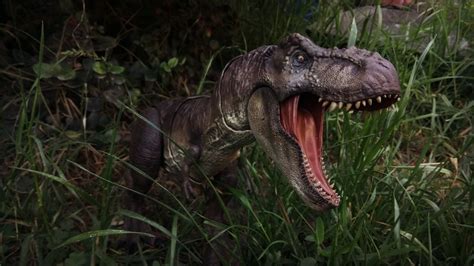 Tyrannosaurus Rex Trash N Throw Prehistoric Expressions