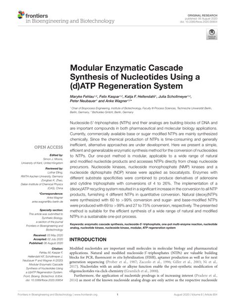 Pdf Modular Enzymatic Cascade Synthesis Of Nucleotides Using A Datp