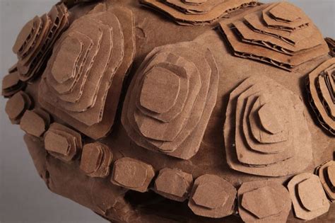 Close Up Of The Turtle Shell Made Out Of Cardboard Turtle Sculpture