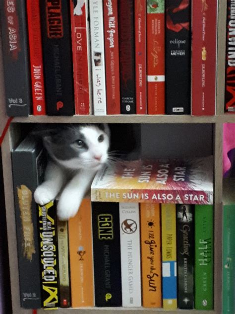 About My Blog Assignment