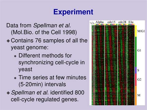 ppt using bayesian networks to analyze expression data powerpoint