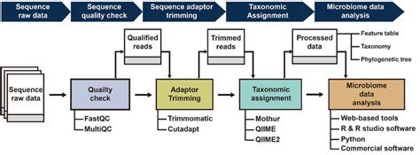Graphical Representation Of The Overall General Workflow For Analyzing