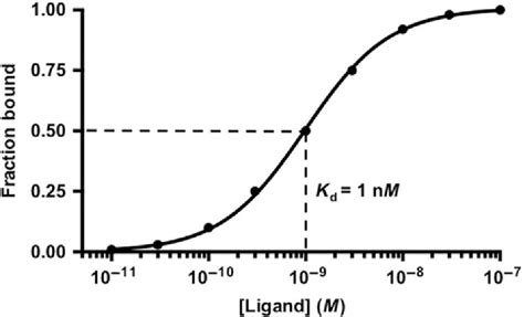Figure 1 From Cell Binding Assays For Determining The Affinity Of