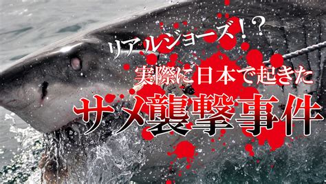 25 サメ 被害 日本 228737 サメ 被害 日本 Gambarsaegyf
