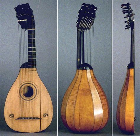 Harp Guitar Related Instruments