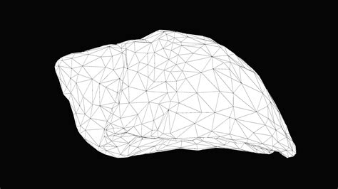 3d Model Tulip Sea Shell Vr Ar Low Poly Cgtrader