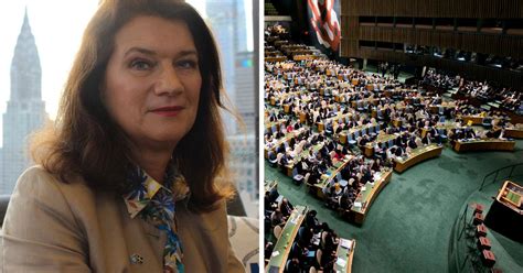 Ann Linde Många Länder Oroade över Sverigedemokraterna