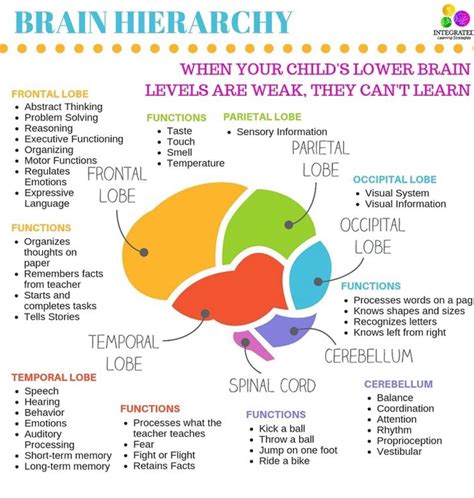 Pin By Jen On Psychology Integrated Learning Learning Strategies