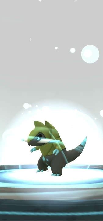 Axew Community Day Shiny Evolution Youtube