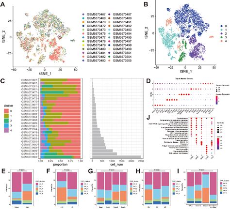 Figure 1 From Integrative Analysis Of Cancer Associated Fibroblast Signature In Gastric Cancer