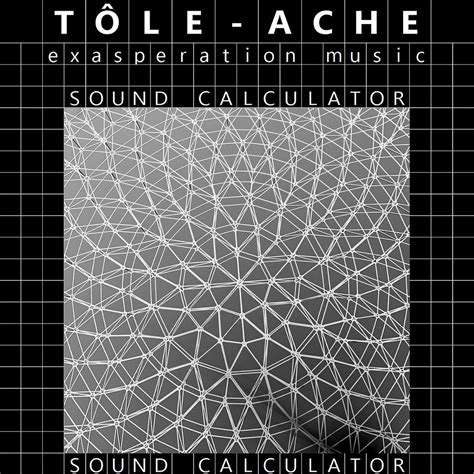 Sound Calculator by Tôle Ache Album Reviews Ratings Credits Song
