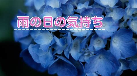 雨の日の気持ち 株式会社ステラ｜渋谷×秋葉原×ベンチャーit会社