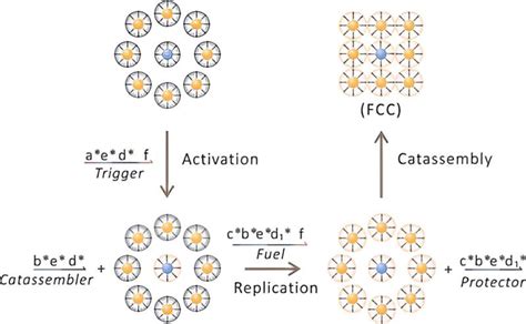 Scientists Construct Sophisticated Synthetic System Using Self