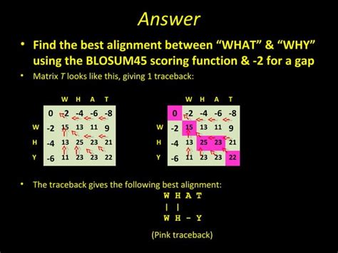 Alignment Scoring Functions Ppt