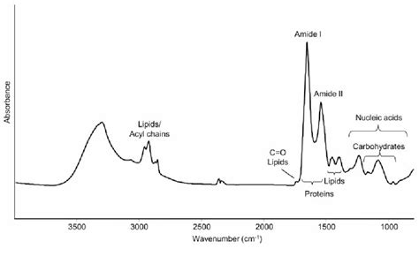 Ir Spectra Ethanoic Acid