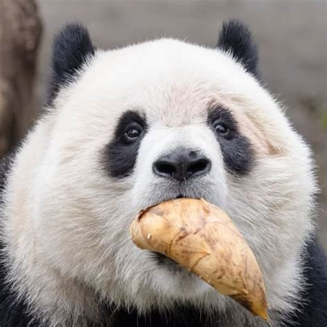 Yu Suuui • Threads Say More