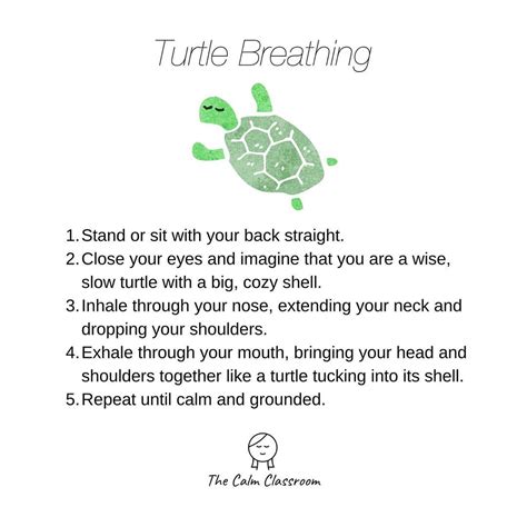 The Calm Classroom On Instagram Love Some Turtle Breathing On A Sunday Anybody Else