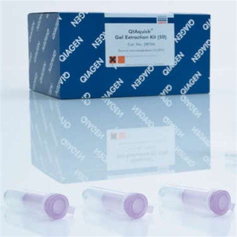 Qiagen Pcr Purification Kit Qiagen Qiaquick 96 Pcr Purification Kit