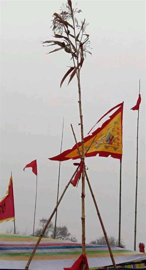 科学网为什么人们对一棵高粱磕头膜拜 郑永军的博文