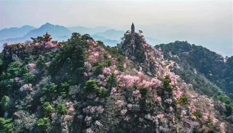 “清明”小长假撬动蓟州“春日经济”旅游假日景区