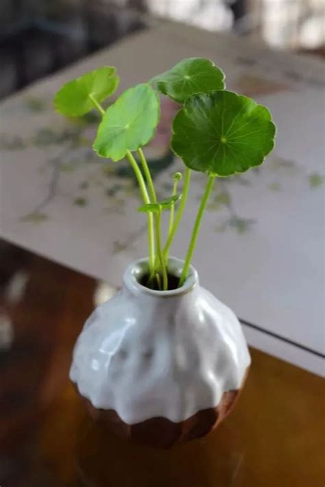 愿所有的情深意重，都能换来岁月温柔。生活