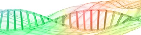 Next Generation Sequencing NGS Microarray Training Workshops RNA Seq Blog