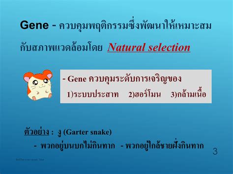 Pptพฤติกรรมของสัตว์ Behavior Suklittha24 หน้าหนังสือ 3 พลิก Pdf