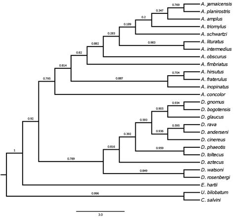 Bayesian 100 Majority Consensus Tree Based On The Partitioned Download Scientific Diagram