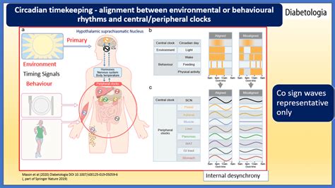 Diabetes And Shift Working What Physicians Must Know Cme India