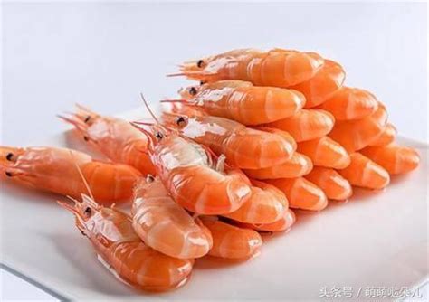 基圍蝦的功效與作用及禁忌 每日頭條