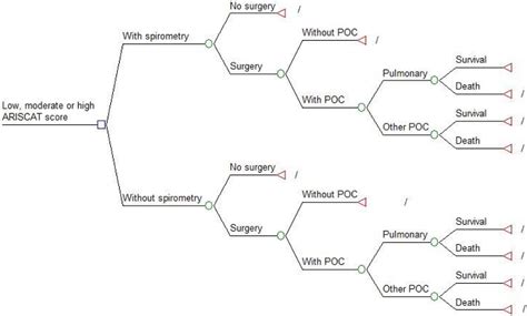 Figure 1 From Preoperative Risk Assessment And Spirometry Is A Cost Effective Strategy To Reduce