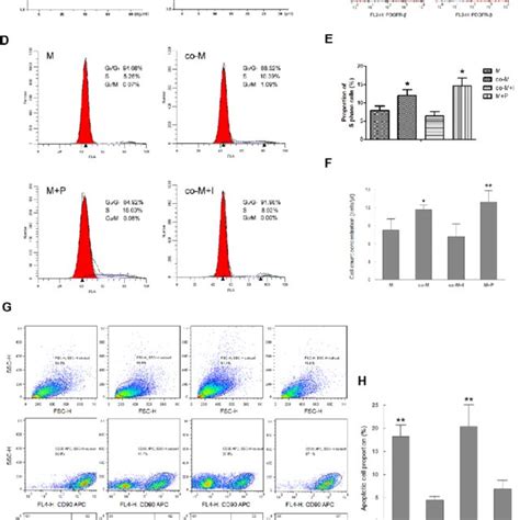 The Role Of Pi3kakt And Mekerk Pathway In Pdgf Bb Induced Viability