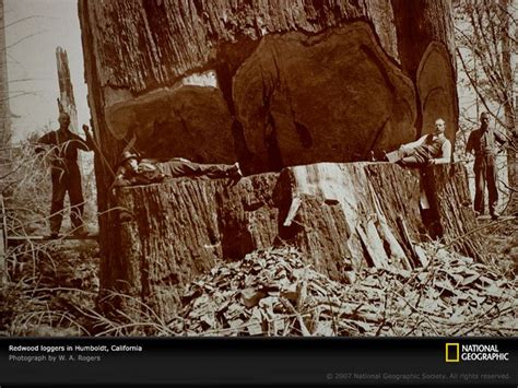 17 Best Images About Old Time Logging On Pinterest Logging Equipment Trucks And Oregon