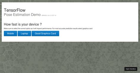 TensorFlow Pose Estimation Demo Codesandbox