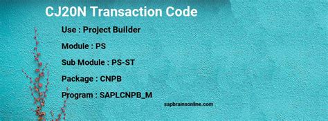 Cj20n Sap Tcode For Project Builder