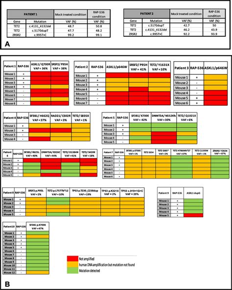 Study Of Mutation Burden Level A New Generation Of Sequencing Results Download Scientific