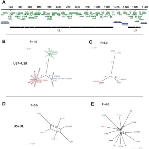 recombination analysis using bootscan and simplot a and b illustrate