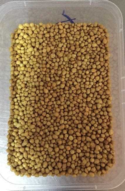 Osmocote Fertilizer For Succulents Cactus Haworthia Furniture