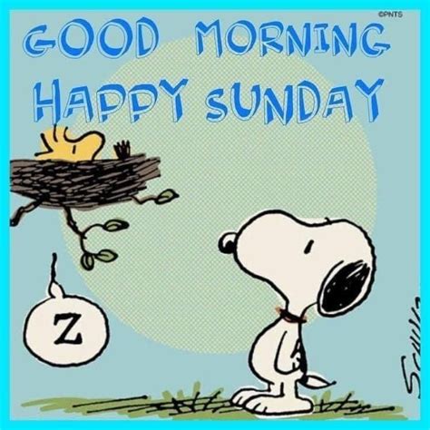 Pin By Sherry Rhoads On Happiness ️ Snoopy And Peanuts Good Morning