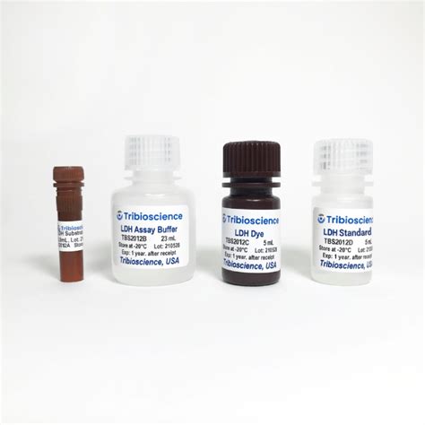 Ldh Lactate Dehydrogenase Colorimetric Assay Tbs2012 Tribioscience
