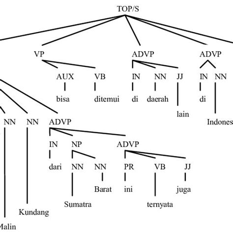 Collins Parser Output For A More Complex Sentence Download
